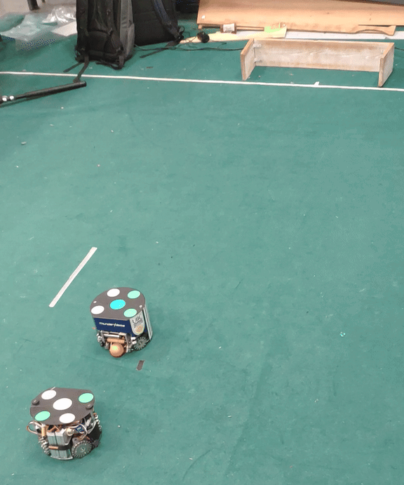 Zhikai (Logan) Zhang